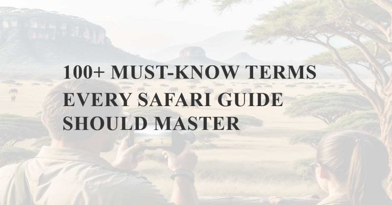 100+ Must-Know Terms Every Safari Guide Should Master - Safari Zoom