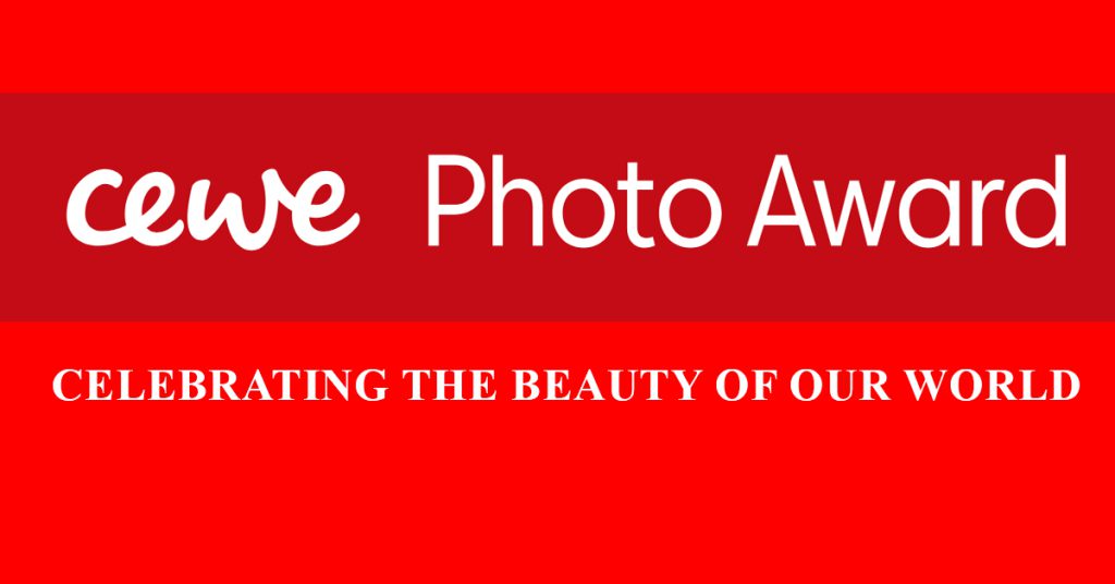 CEWE Photo Award - Safari Zoom